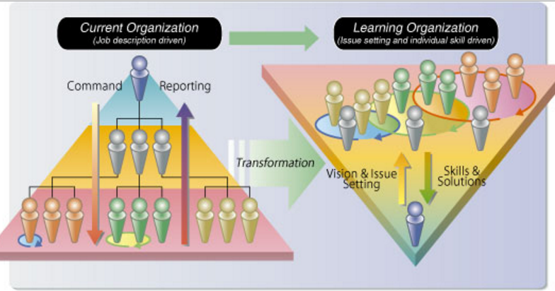 Learning organizations
