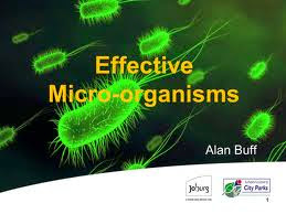 Tulisan Calon Petani: Mengenal Kembali EM, Effective Microorganism