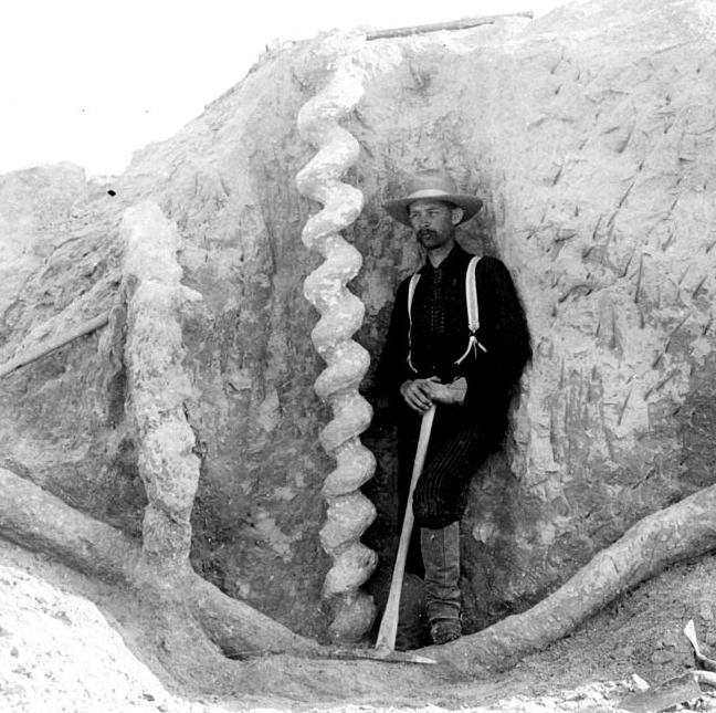 Terrierman's Daily Dose: The Devil’s Corkscrews