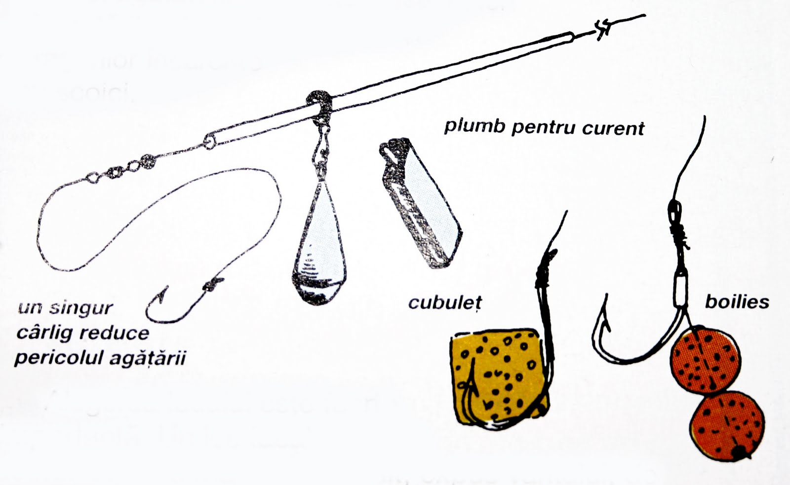 Pasiunea Pescuitului: Pescuitul Crapului in Apele Curgatoare
