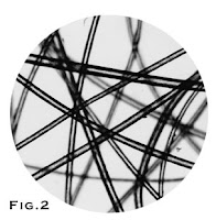 Forensics Study and Analysis: Major Types of FIbers