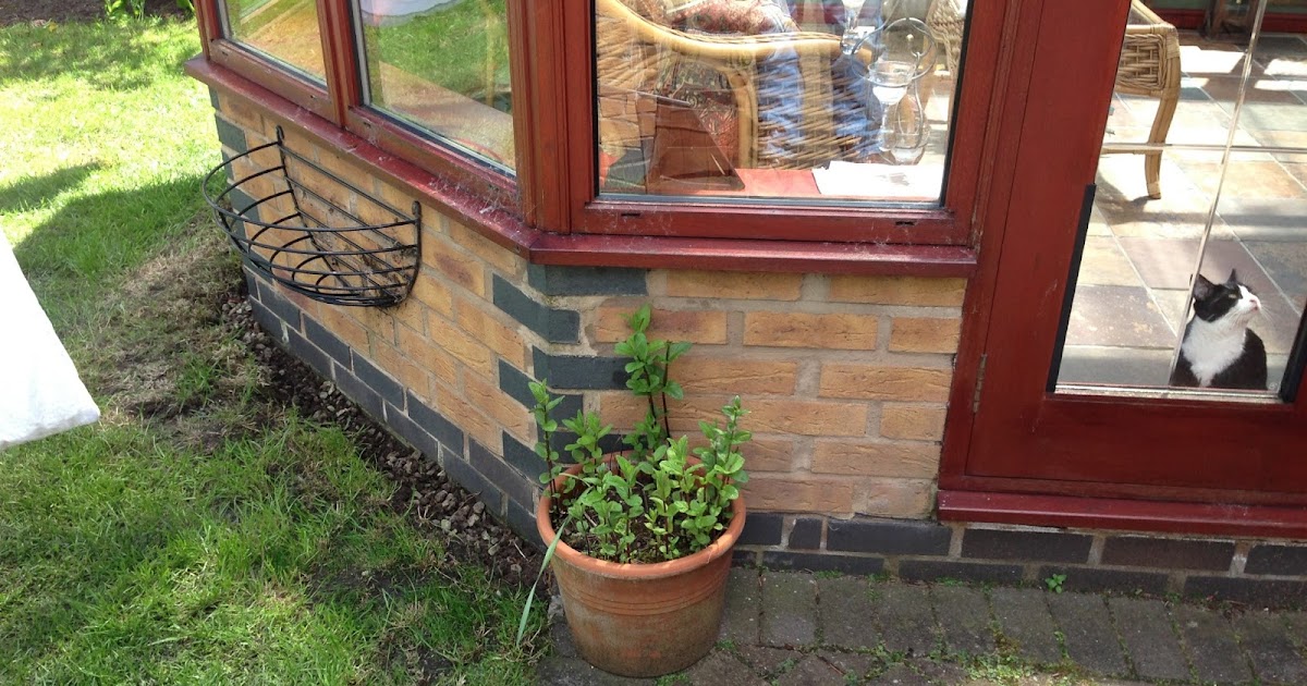 Paul's Tesla Coil Blog: Grounding point for the Tesla Coil