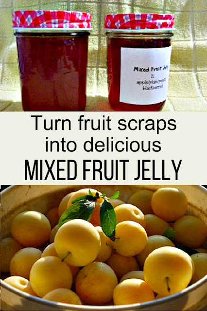 How to Make Mixed Fruit Jam or Jelly - Oak Hill Homestead