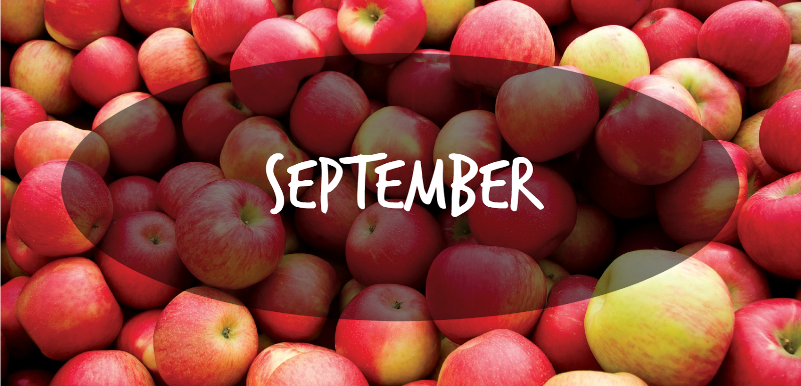 Raising our Little DevilPups: What We're Looking Forward To: September