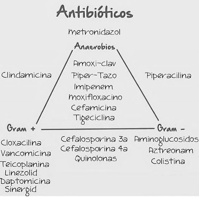 How to learn antibiotics in an easy way... - Medicina mnemotecnias