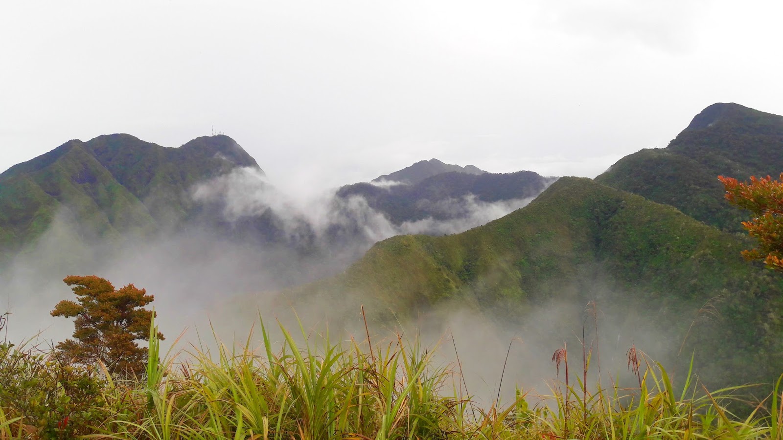 Mt. Maagnaw || PH 8th Highest Mountain