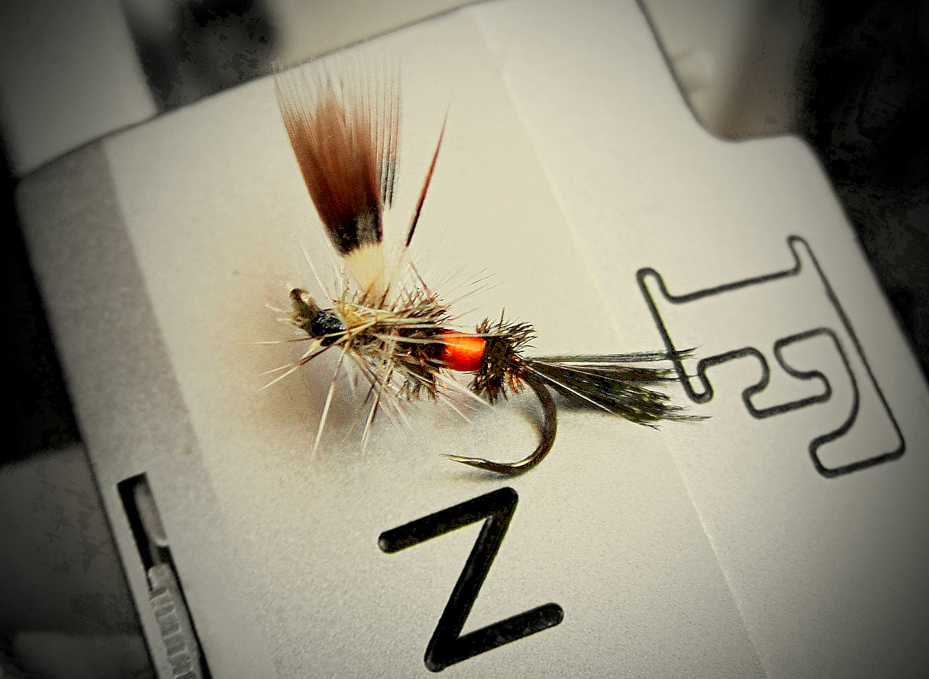 Fly Fishing In Yellowstone National Park: Fish In The Mud