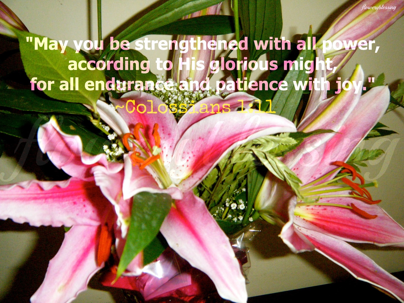Flowery Blessing: "May you be strengthened with all power, according to ...