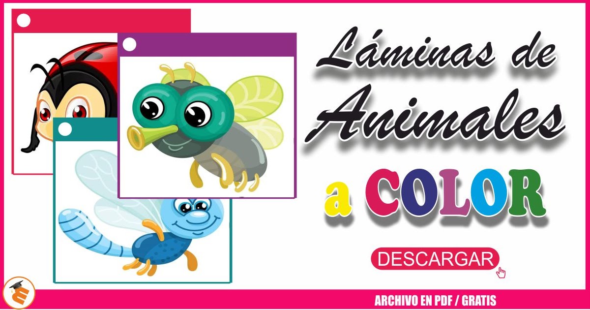 Material Educativo: Laminas a color de divertidos animales para los niños