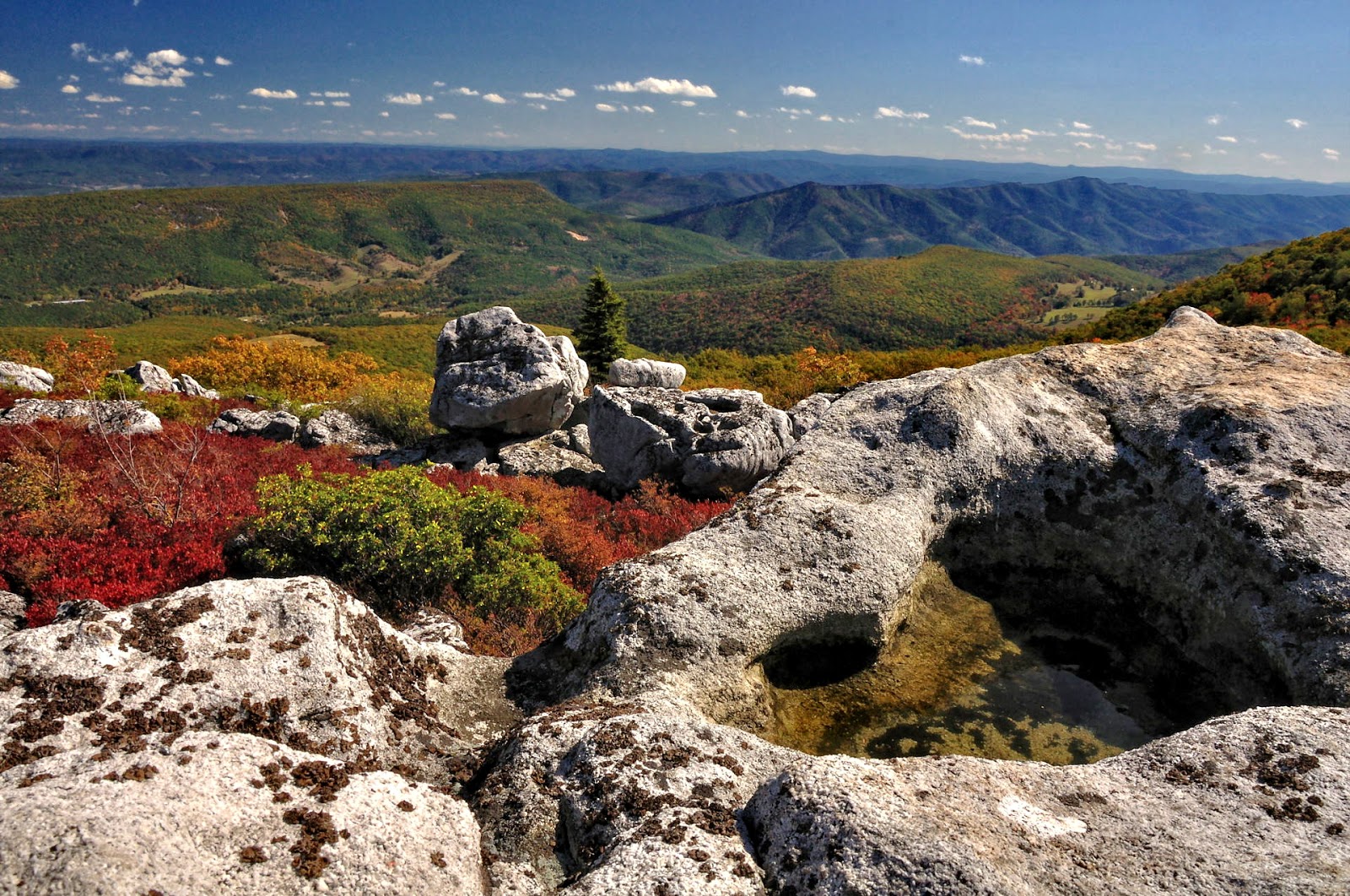 Discover West Virginia: Bear Rocks: Dolly Sods’ Sculpture