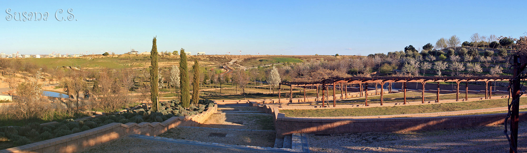 Parque Forestal de Valdebebas - Felipe VI (Madrid)
