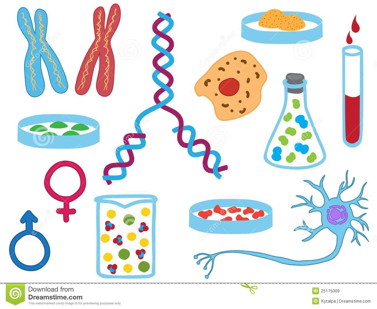 Biología: La Biología y sus ramas