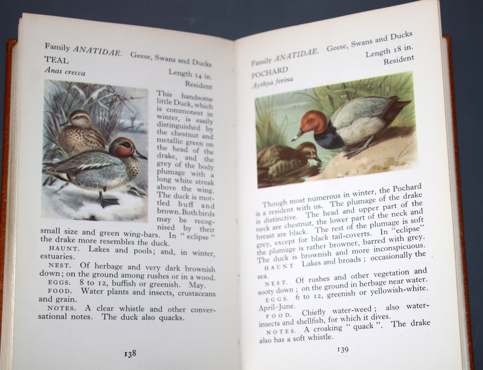 WEST YORKSHIRE BIRDING: My top 10 bird i.d. books.