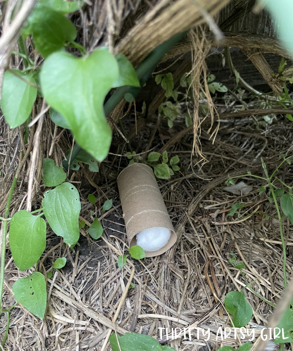 Thrifty Artsy Girl: The Next Chapter in my Journey with Lyme Disease ...