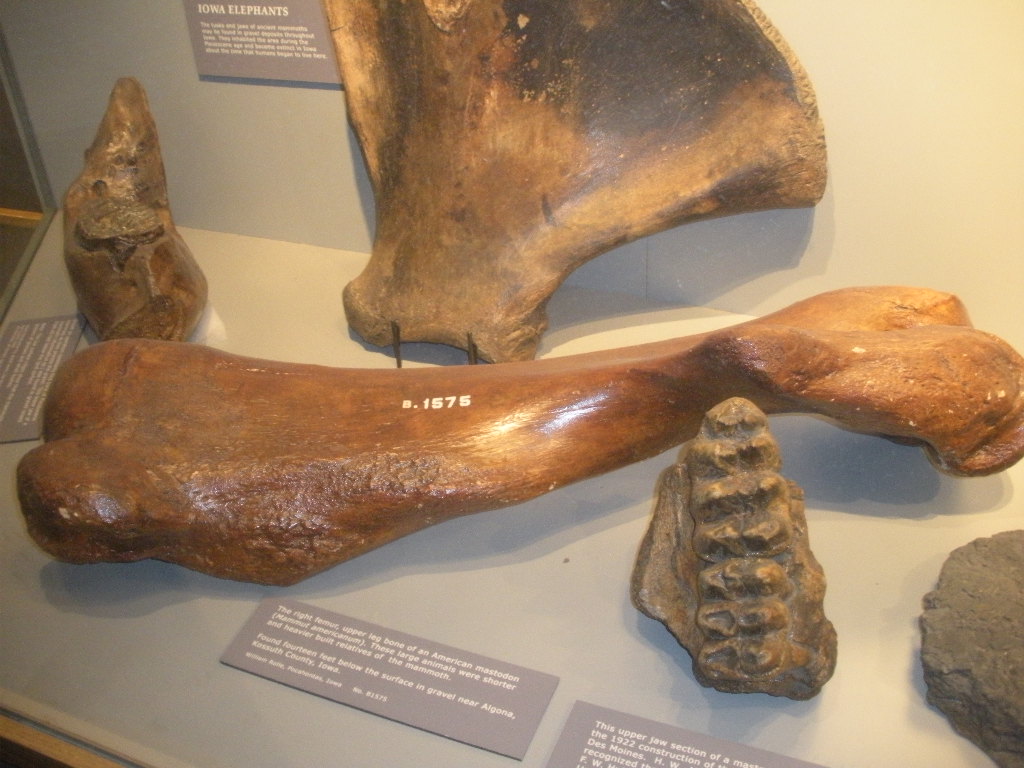 Liberty or Death: Iowa State Historical Museum
