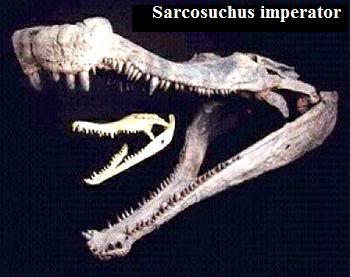 sarcosaurus - JungleKey.fr Image #50
