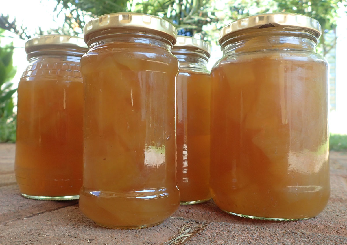 AdventureLisa: Making makataan jam