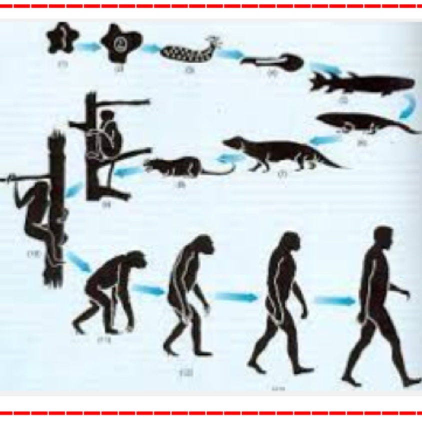 Vampiro Erudito: Leyenda (Del Simio)