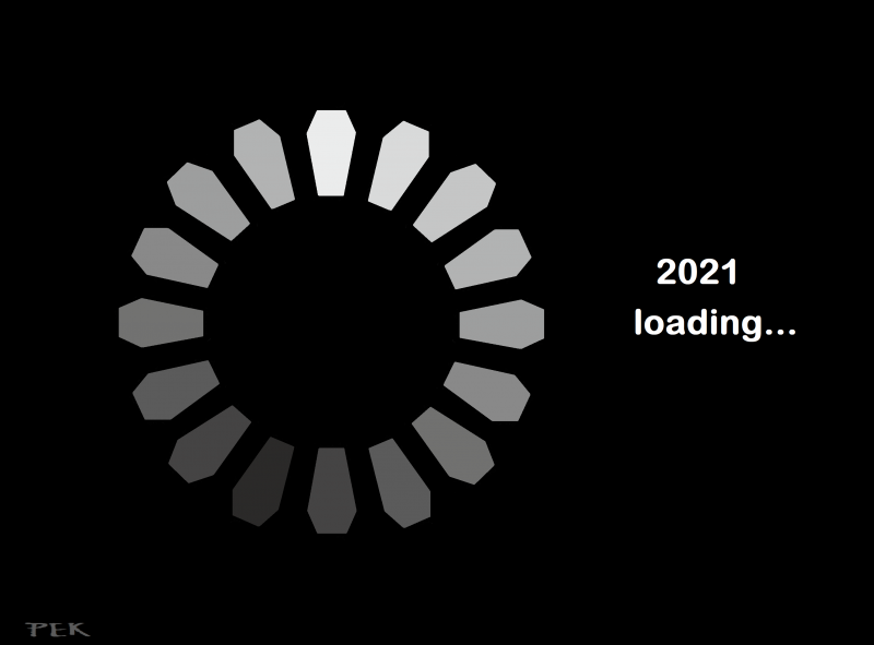 SNIPPITS AND SNAPPITS: 2020