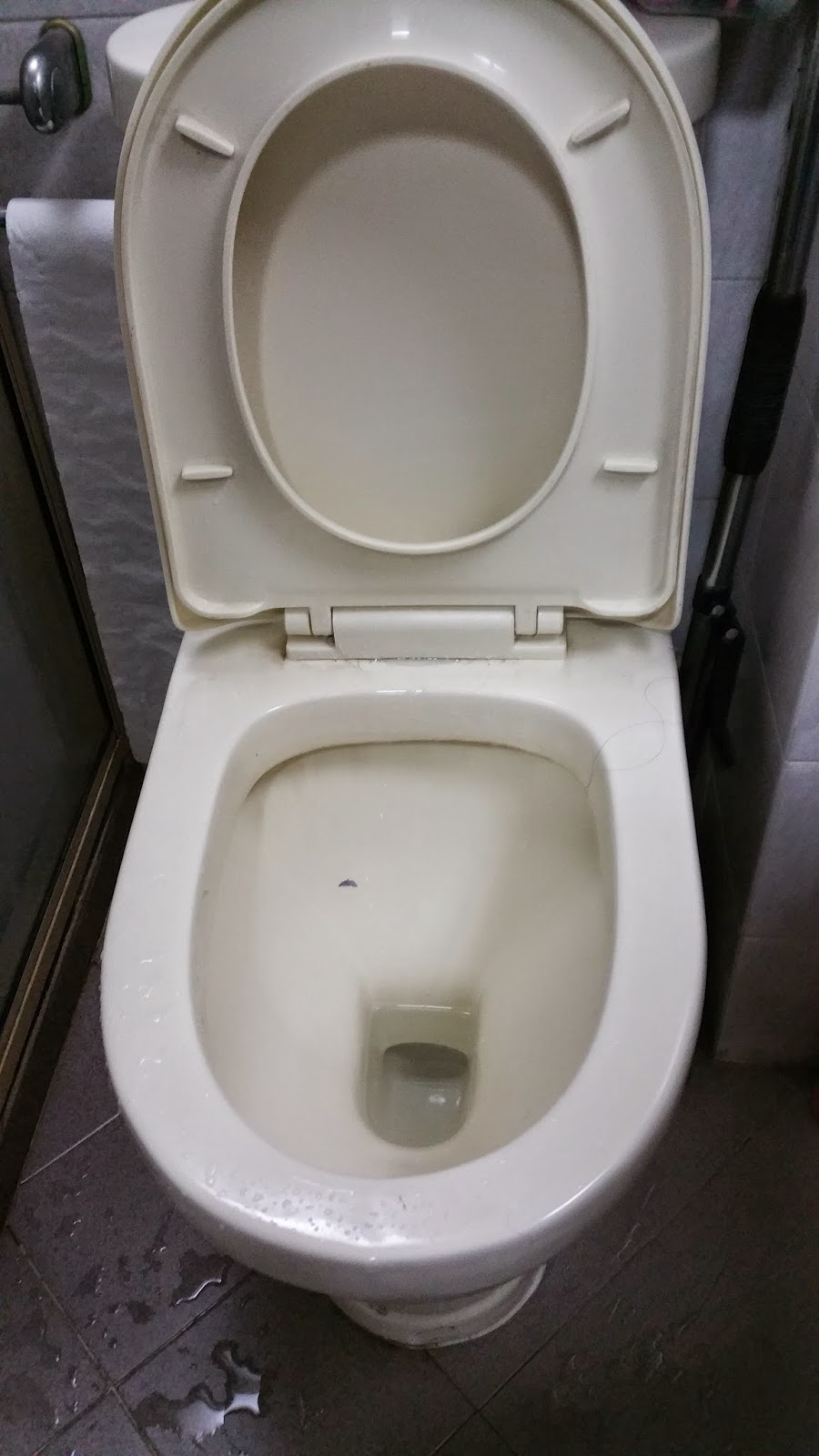 spittle splat : the fuss of us: I stand toilet sentry.