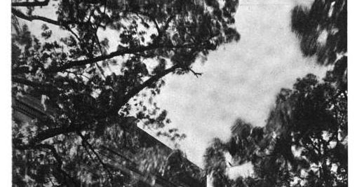 Beyond the Gilded Age: The Henry White Residence