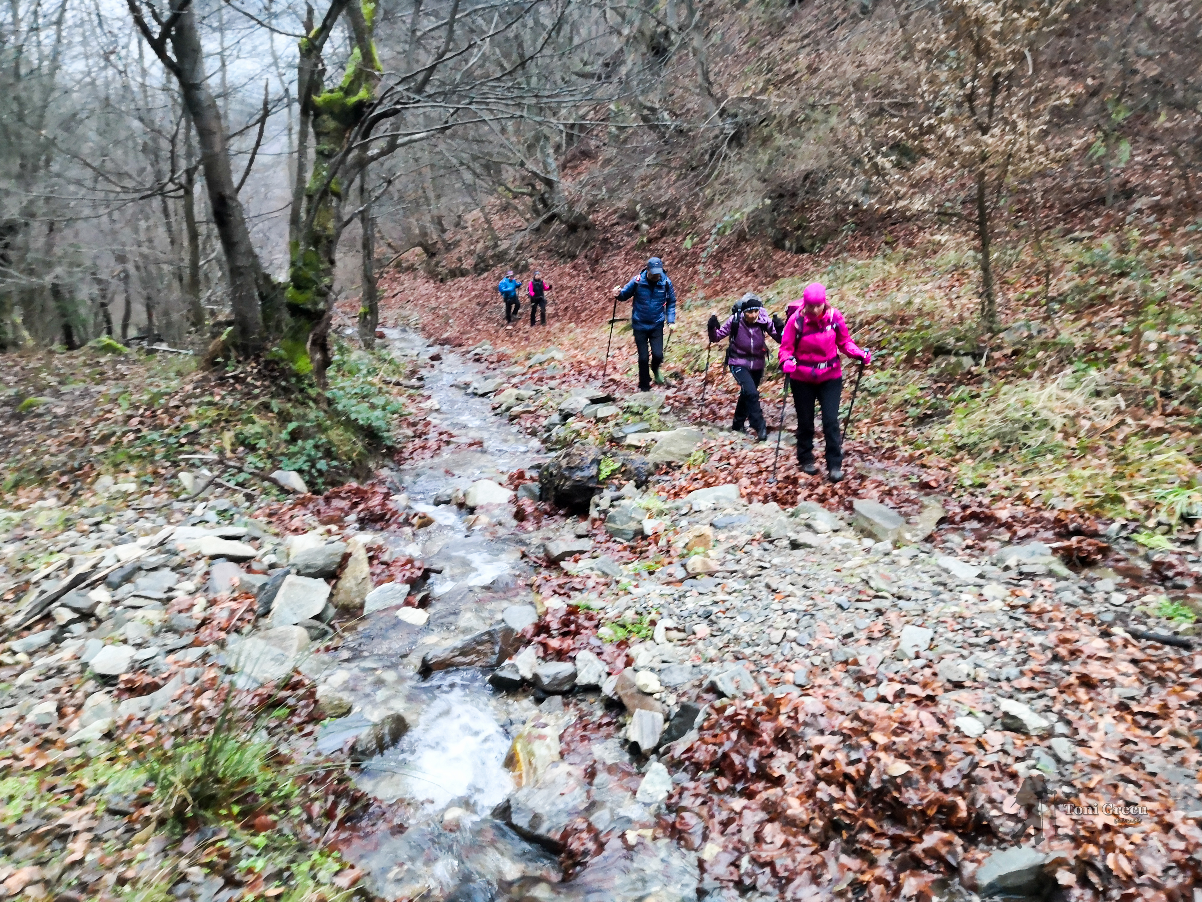 Varful Prejba - Cabana Prejba. Muntii Lotrului ~ Jurnal de drumeții