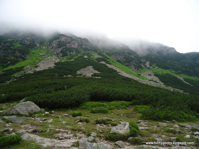 Kulinarne fochy Gochy