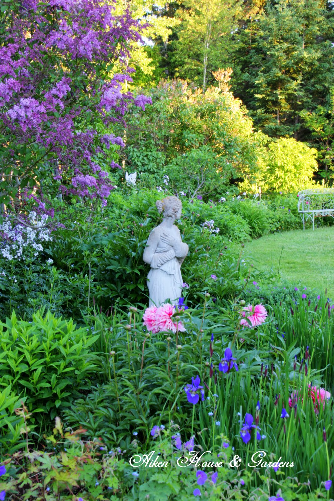Aiken House & Gardens: Early Summer Garden Tour