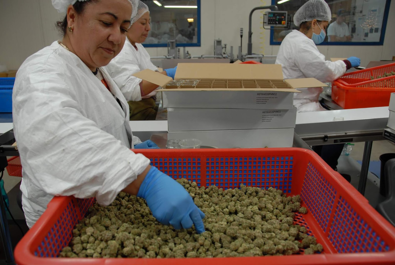 The Gray Report: Cannabis as a farm product: an interview with Autumn ...