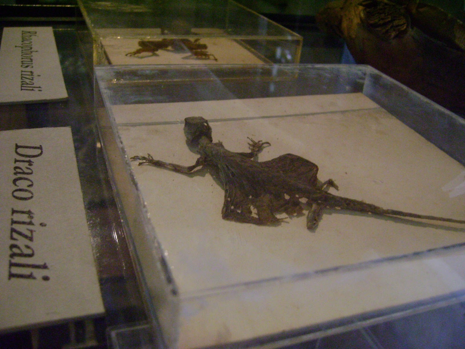 The Life and Works of Rizal: Chamber of Text, Intramuros