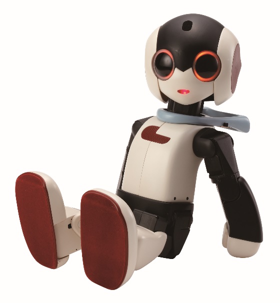 MEET ROBI: THE INTERACTIVE ROBOTIC COMPANION THAT SPEAKS MANGLISH