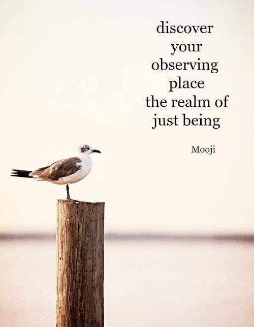 Simple: Best Awareness Quotes: Inspiration for Awareness Meditation