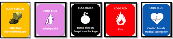 Multi Purpose: HOSPITAL EMERGENCY CODES – CODES & CODE ANNOUNCEMENT IN ...