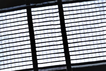 Three New GIs from the state of "Mizoram"