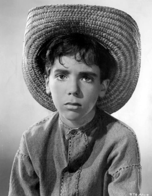 Michel Ray, o menino ator, de origem brasileira, que se tornou um dos homens mais ricos do Reino ...