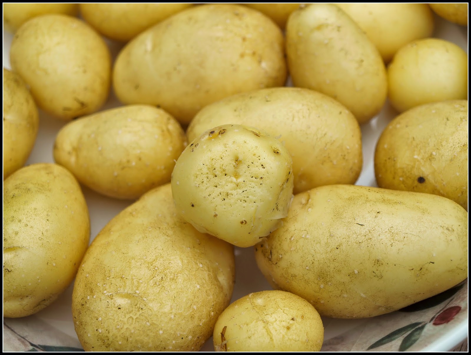 Mark's Veg Plot: The square potato