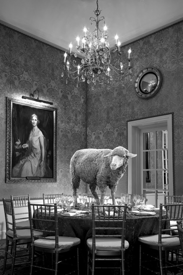 OLTRE IL MURO: ARTE e FOTOGRAFIA: JUSTIN DINGWALL | PHOTOGRAPHER