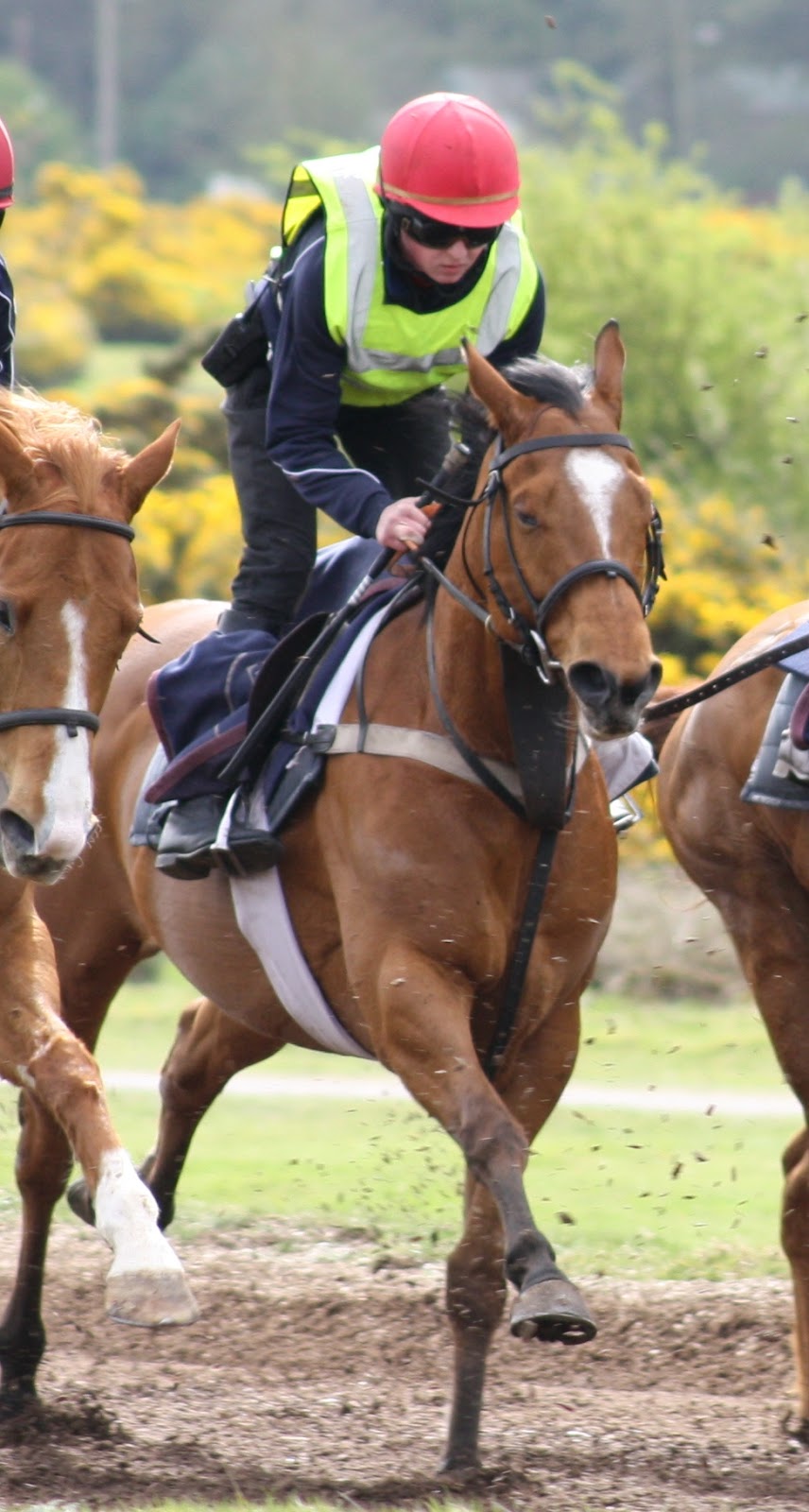 The Daily Life of a Trainee Jockey at RACE: Meet the trainees - Adam ...