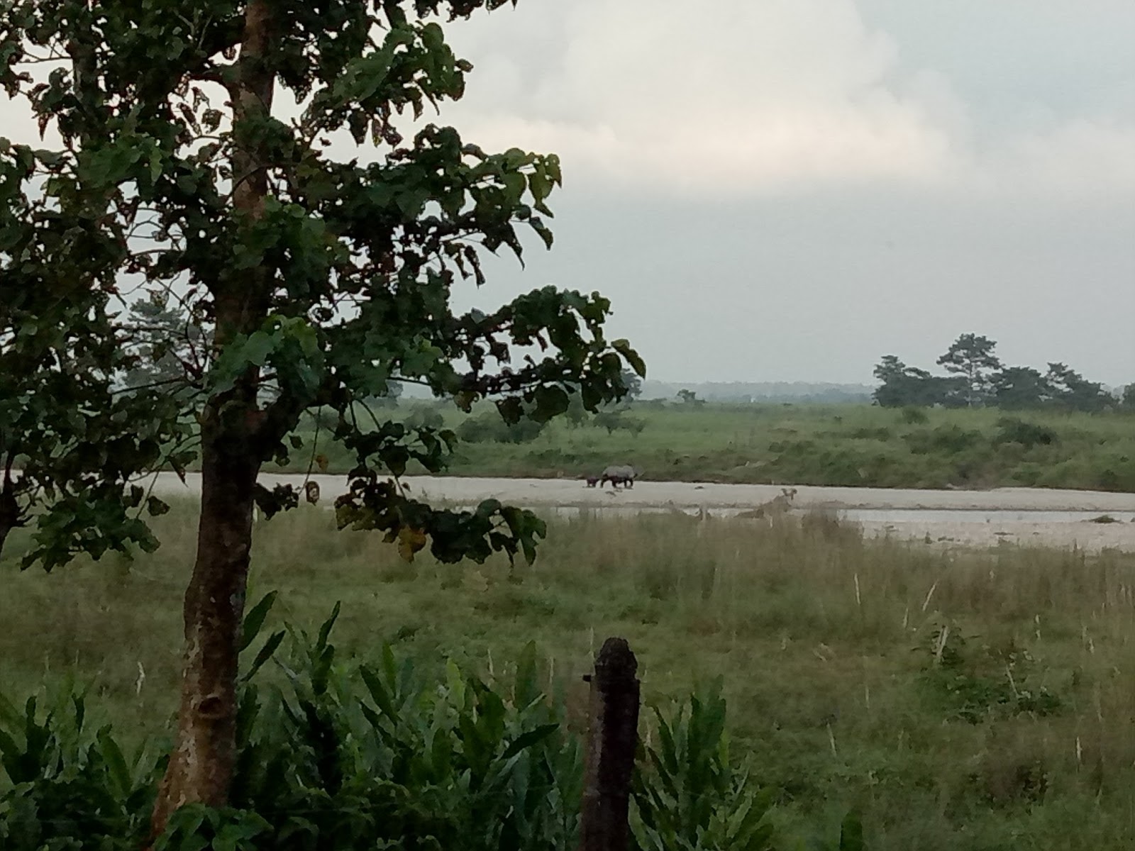 Beauty of Northbengal: Chalsa is a small town situated just on the foot ...