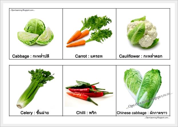 Oporlearning.Blogspot.com: สมุดภาพ ผัก