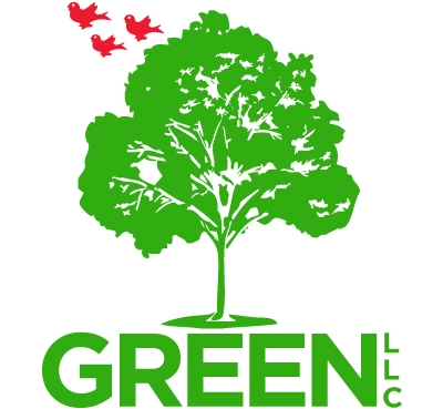 Limited Liability Company: Green LLC