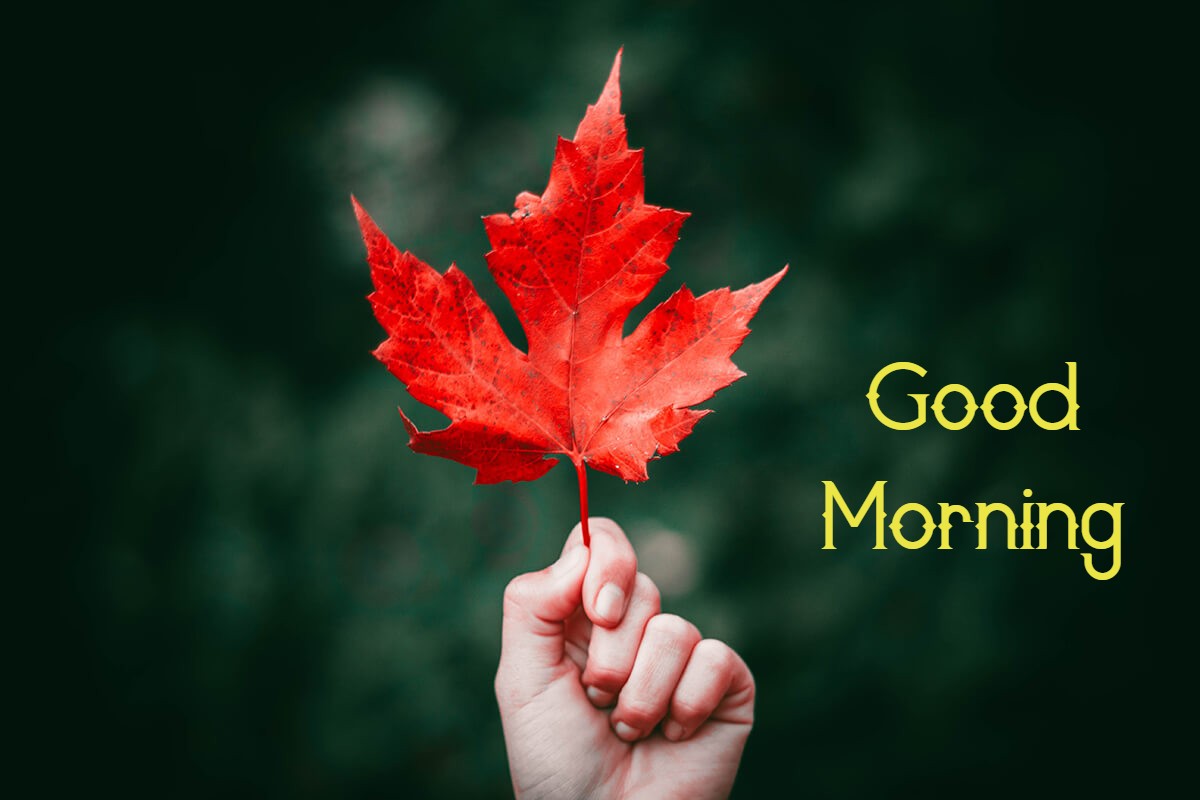 Sweet Good Morning Text Messages Beautiful Messages sweet-good-morning-text-messages-beautiful-messages
