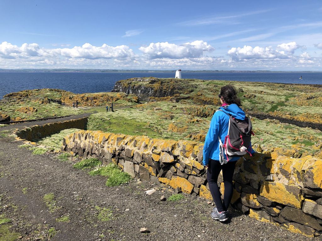 Excursion a la Isla de May (Escocia) para ver puffins | Sin mirar a nadie