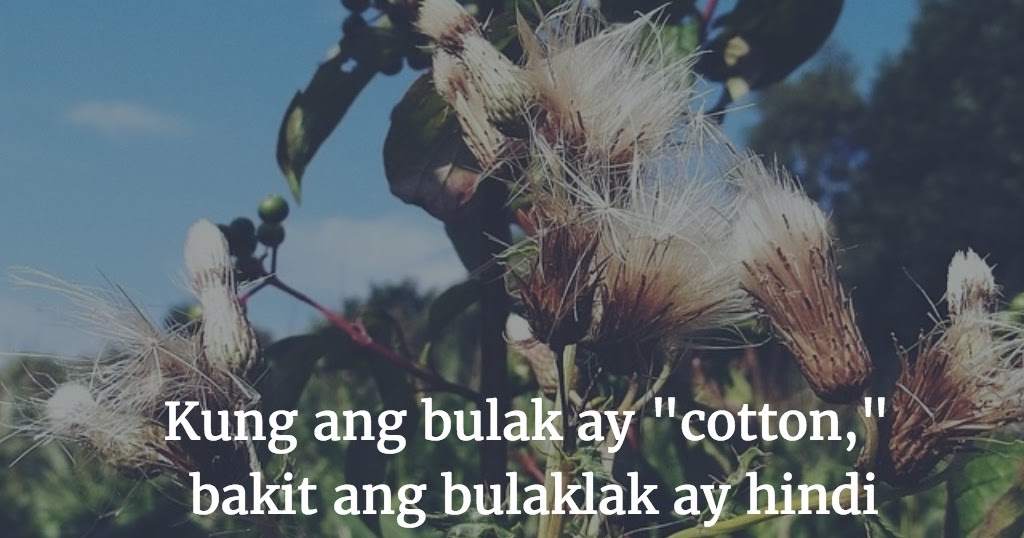 Bulak vs. Bulaklak