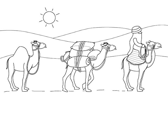 La naturaleza con niños: Las selvas y los desiertos