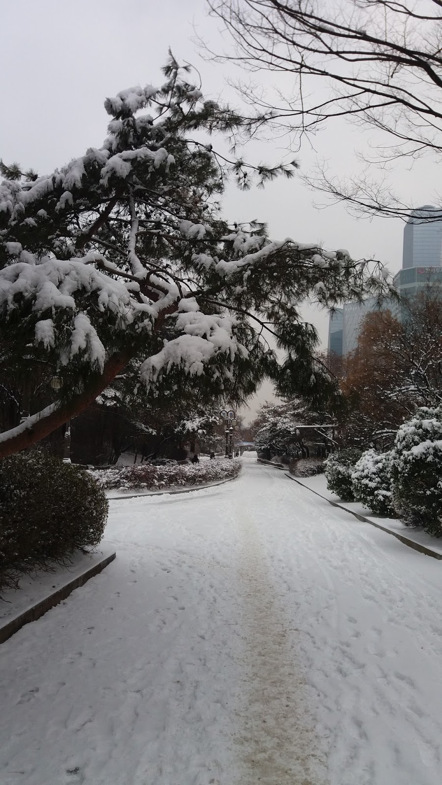 Keliling Dunia: Menikmati Musim Dingin di Korea Selatan