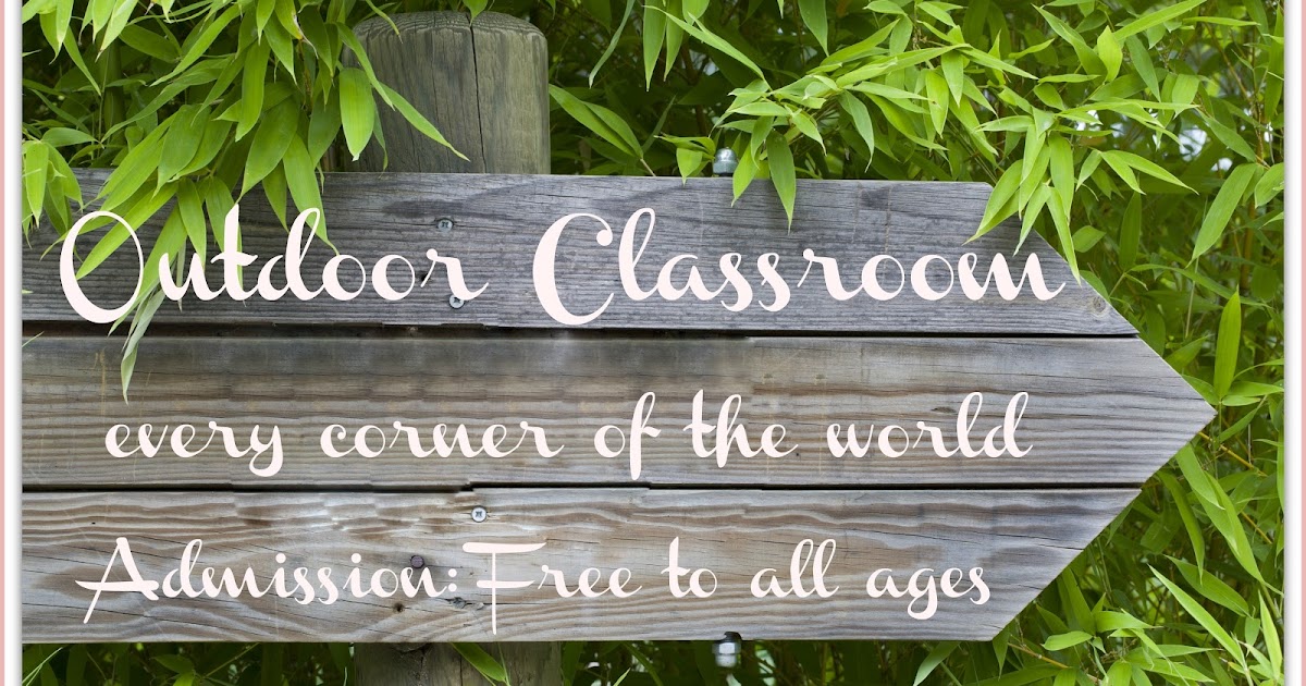 Outdoor Classroom: Are Your Montessori Children Missing Out On This ...