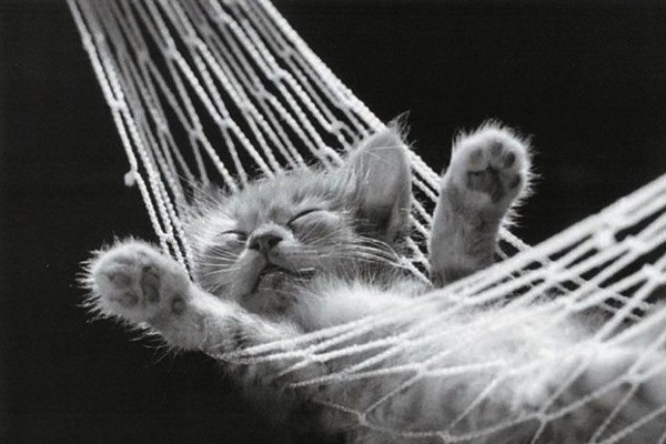 le Sens de la Marche: mars 2018