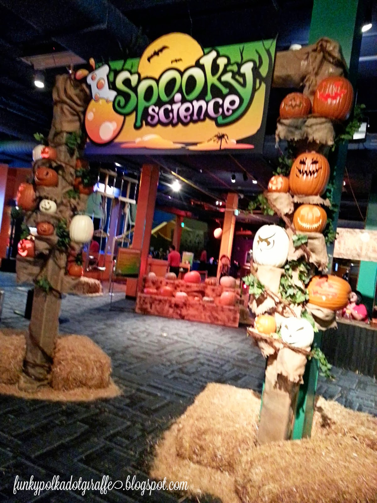 Funky Polkadot Giraffe: Discovery Science Center: The {Science} of ...