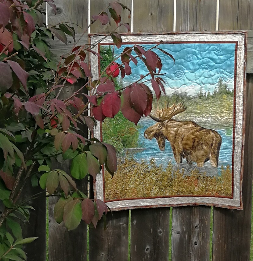 Quilting & Learning - What a Combo!: FMQ moose panel finished